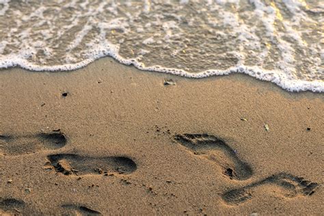 Exploring Ocean Science The Four Disciplines 5 Lessons
