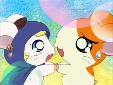 Hamtaro And Bijou Love