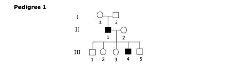 solved 1 what are the two possible modes of inheritance in