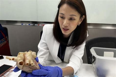 New Stem Cell Therapy For Heart Repair Shows Promising Pre Clinical