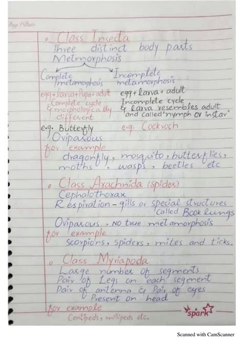 Solution Hand Made Notes On Phylum Arthropoda Phylum Mollusca Phylum