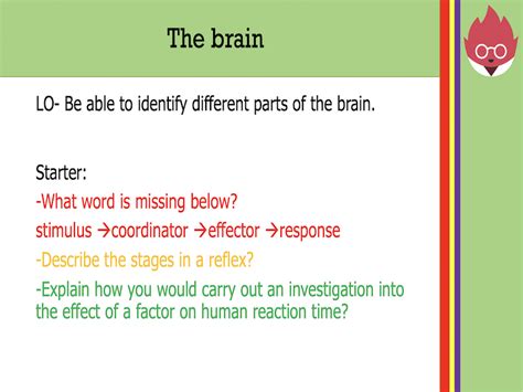 Aqa Gcse Biology The Brain Teaching Resources