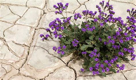 Geospatial Software Solutions Come And Go Mind The Data