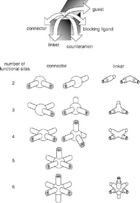 Cell Transformation Semantic Scholar