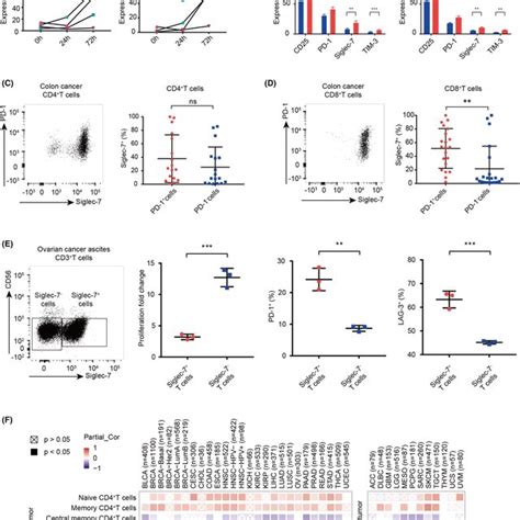 Targeting Siglec‐7 Sia‐igg Improved T Cell Mediated Tumor Cell Killing