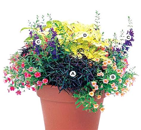 Градински контейнери за ценители Български Фермер