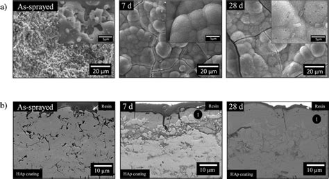 Microstructural Evolution Of The Graded Coatings At Different Soaking