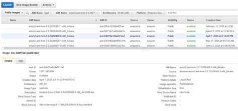 Amazon Web Services Terraform Aws Ami Datasource Filter Problem Stack Overflow