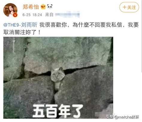 郑希怡追星刘雨昕，竟让吴昕找李维嘉安排，网友：果然娱乐是个圈 每日头条