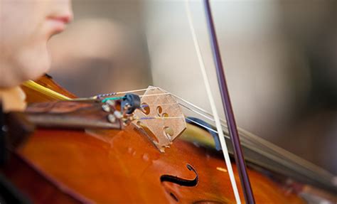Classical String Quartet Bob Gail Music