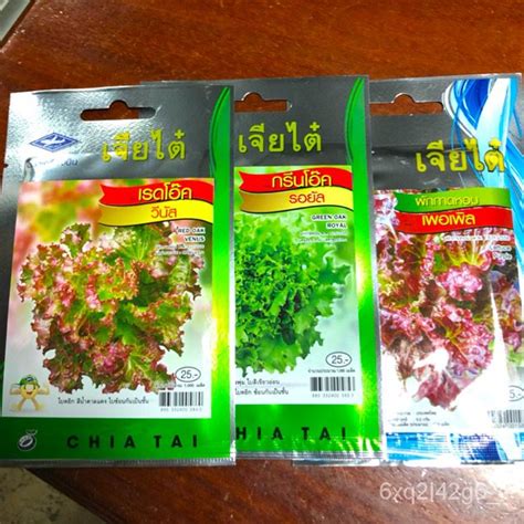 เมล็ดพันธุ์ เมล็ดผัก ผักสลัด คละได้ ️ กรีนโอ๊ค เรดโอ๊ค กรีนคอส เรดคอส ผักสลัดมิกซ์ ผักกาดม่วง