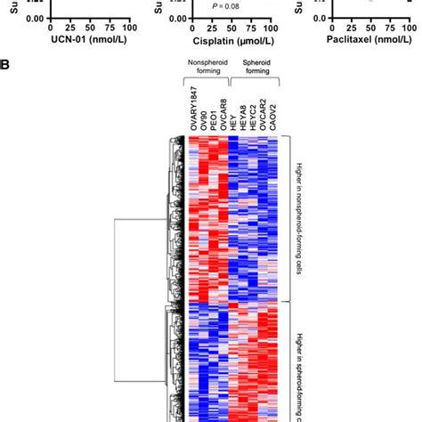Characteristics Of Spheroid Forming Cells A Heya8 Cell Monolayers M
