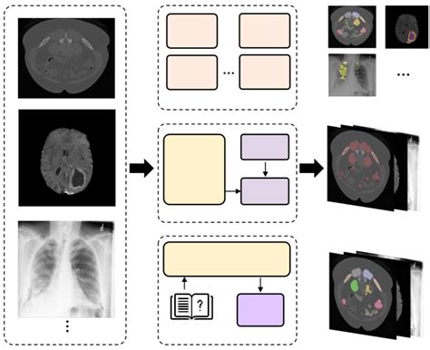 论文审查 Seg Sam Semantic Guided Sam For Unified Medical Image Segmentation
