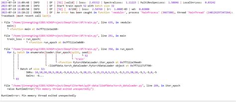 Runtimeerror Pin Memory Thread Exited Unexpectedly And Runtimeerror