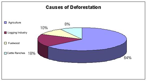 Deforestation Effects Chart