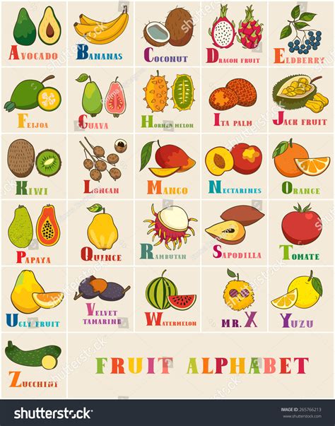 Alphabet Fruit Vector Set Z Illustration Stock Vector 265766213