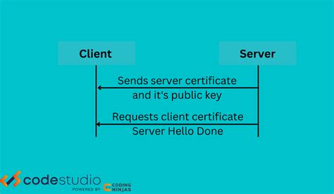 What Is Transport Layer Security Tls Naukri Code 360
