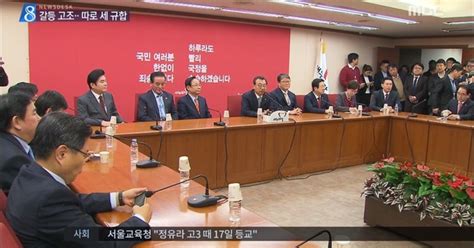 새누리 당내 갈등 점입가경별도 지도부 출범