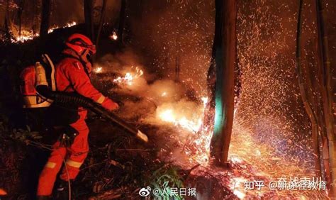 了不起重庆山火 平民英雄人物素材 知乎