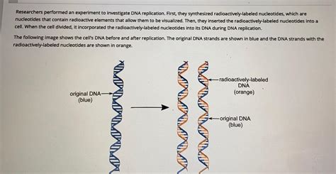 [answered] Researchers Performed An Experiment To Investigate Dna Kunduz