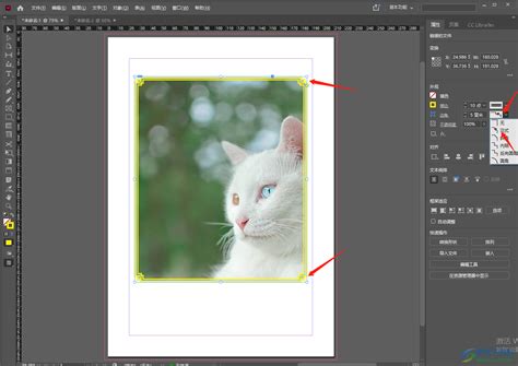 Adobe Indesign制作图片边框的方法 Adobe Indesign怎么制作图片边框 极光下载站