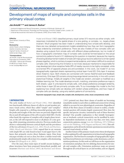 Pdf Development Of Maps Of Simple And Complex Cells In The Primary Visual Cortex