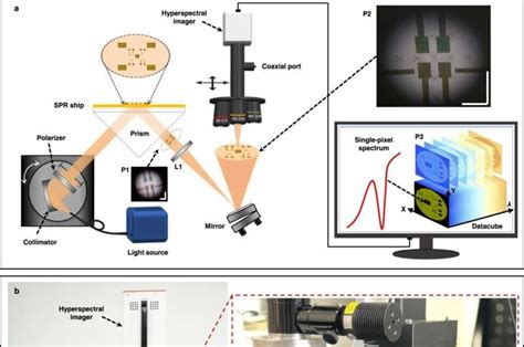 科学者が新しいハイパースペクトル表面プラズモン共鳴顕微鏡システムを開発