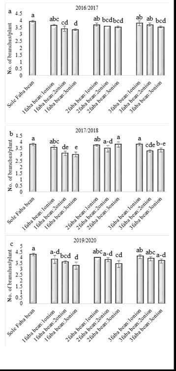 Influence Of Intercropping System On No Of Branchesplant Of Faba Bean