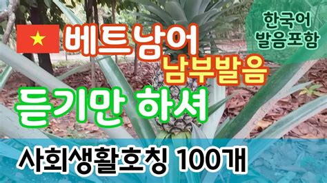 베트남어 듣기만하셔 사회생활호칭 100개 남부발음 반복듣기 Youtube