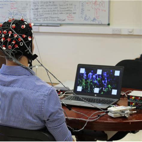 Ssvep Based Experimental Setup For Task 3 Visual Distractors