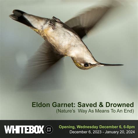 Eldon Garnet Saved And Drowned Whitebox