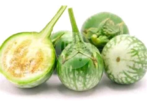 16 Tempat Makan Terong Bulet Terbaik Di Jakarta