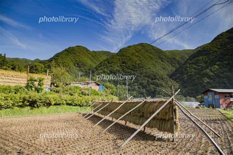 Photolibrary