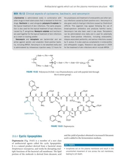 450 Chapter 19 Antibacter