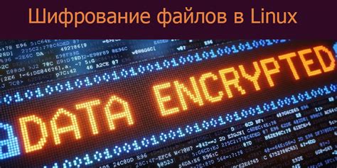 Шифрование файлов в Linux на примере Ecryptfs и Encfs