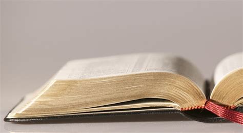 8 Versículos Alentadores De La Biblia Acerca Del Consuelo Versículos