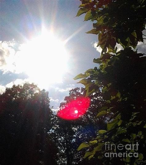 Pink Orb Photograph By Tonya Merrick Fine Art America