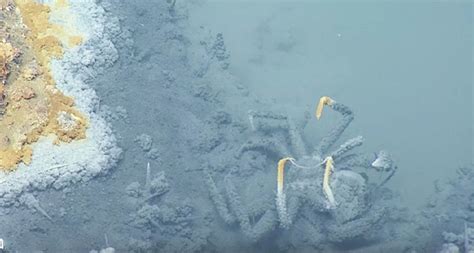 The Secret World Of Underwater Lakes