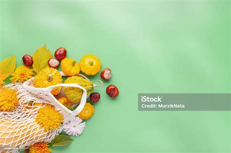 쇼핑 친환경 메쉬 백에 신선한 호박 색상 배경에 단풍 가을 구성 추수 감사절 가을 할로윈 개념 개념 유기농 야채 수확 10월에