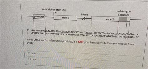 Solved Based ONLY On The Information Provided It Is NOT Chegg Com