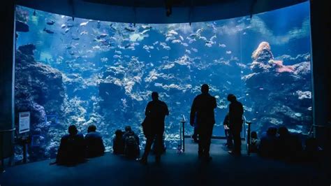 Así será el Acuario Parque Tepeyac el más grande de Latinoamérica