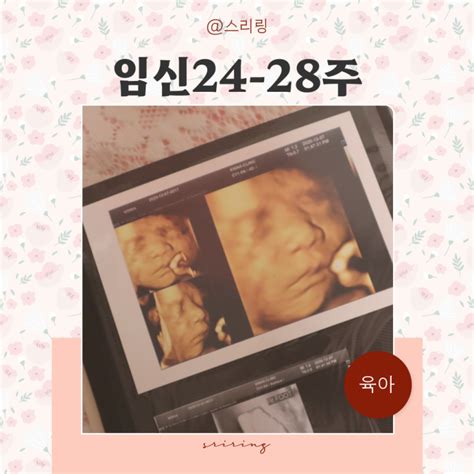임신 24주 임산부 임당검사 27주 28주 입체초음파 시기 비용 실물 실패 네이버 블로그