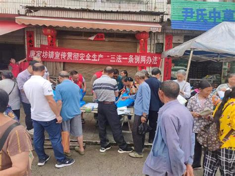 绥宁县人大常委会——唐家坊镇人大主席团开展“三法一条例两办法”宣传和执法检查