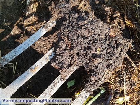 Super Simple Vermicomposting Planter 9 28 17 Red Worm Composting