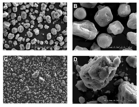 Microstructure Of Carboxymethyl Starch Obtained With 0 Kneading Blocks