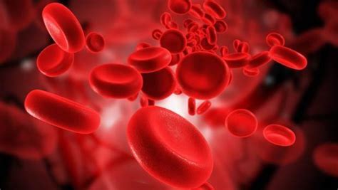 Low Hemoglobin Count Symptoms Causes Treatment And More New Health Advisor
