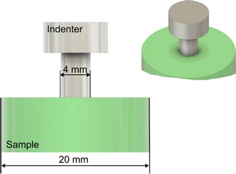 Schematic Of The Tool And The Sample During The Flat Indentation Test