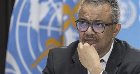 Oms Insécurité Et Pillages Entravent Laide En Ethiopie Et Au Soudan