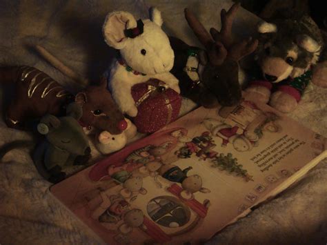 A Thylacines Toybox 🌈