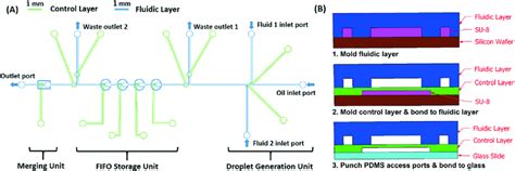 A Design And Layout View Of The Integrated Microfluidic Chip Including Download Scientific